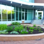 Water-Sensitive Urban Design (WSUD): Integrating Water Management And ...